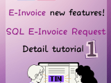 E Invoice Reference Guide E Stream Msc
