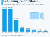 Zoom Infographic