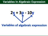 Understanding Variables And Constants In Algebraic Expressions