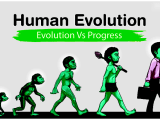 Human Evolution Evolution Vs Progress