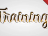 Training Text Effect Generator