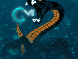 Protecting Python Applications The Simpler Way Wibu Systems