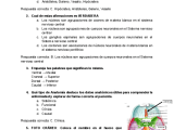 Preguntas Test Clase Anatomia Pdf