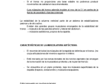 Anatomia Tema 10 Pdf