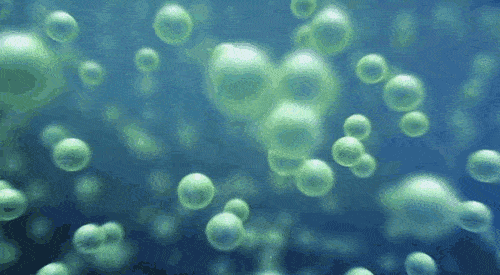 amazingsciencefactsblog