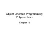 Ppt Object Oriented Programming Polymorphism Powerpoint Presentation