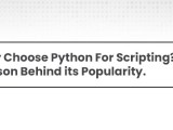Comprehensive Python Scripting Tutorial Setup Examples