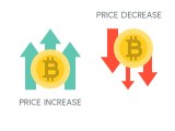 Bitcoin Price Increase And Decrease Flat Icon Vector Image