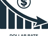 Dollar Rate Decrease Graphic Icon Mobile App Vector Image