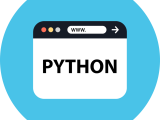 Development Python Seo Web Icon Download On Iconfinder