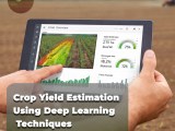 Crop Yield Estimation Using Deep Learning