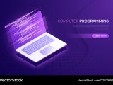 Computer Programming Coding Testing Debugging Vector Image