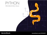 Python Code Language Sign Programming Coding Vector Image