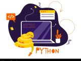 Python Code Language Sign Programming Coding Vector Image