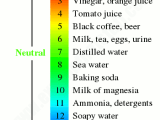Ph Scale Examples