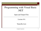 Ppt Programming With Visual Basic Net Input And Output Files