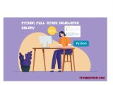 Ppt Python Full Stack Developer Salary Powerpoint Presentation Free