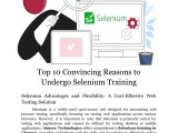 Ppt Aimore Technologies Selenium Training In Chennai Powerpoint