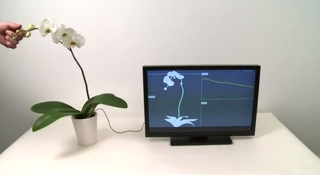 Botanicus Interacticus Interactive Plant Technology | Ubergizmo