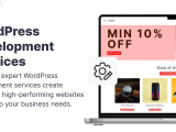 Wordpress Development Services Webkul Software