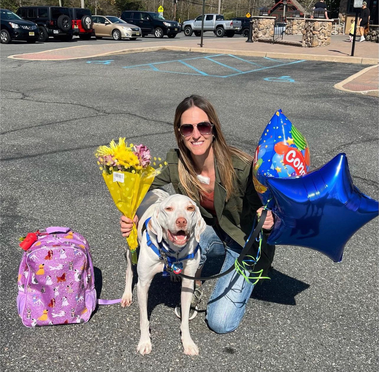 💙Therapy Dog Porter | Cello's Corner