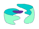 Morphing Elements Cel Wizard
