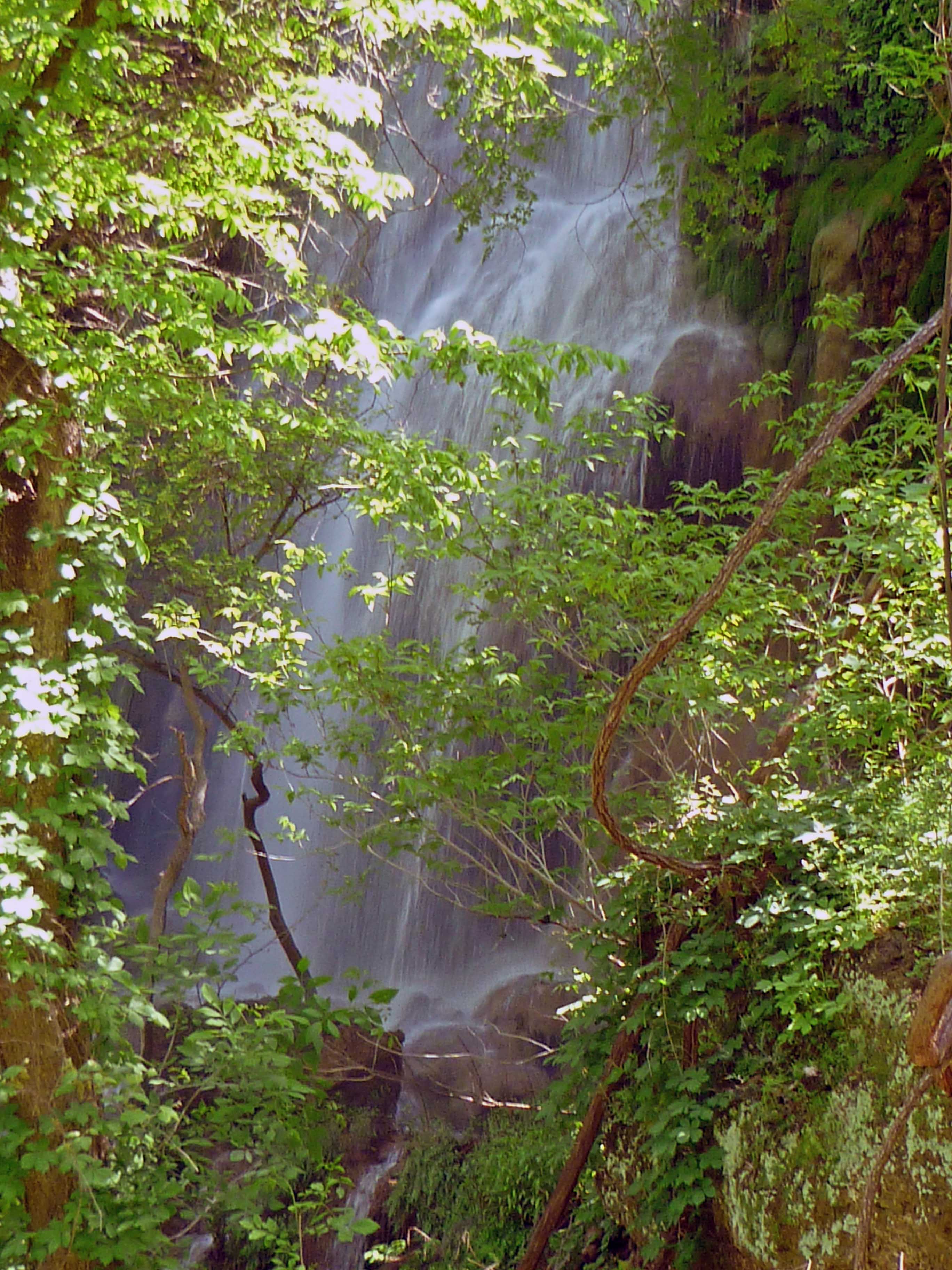 Gorman Falls (Colorado Bend State Park) - Centex Cooks