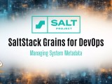 Saltstack Grains For Devops Managing System Metadata Centlinux