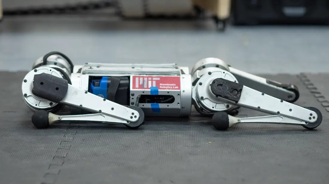 VIDEO: el robot 'Mini Cheetah' del MIT funciona a su velocidad más ...