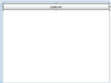 Cespage Silverlight Tutorials Webcam