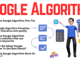 Google Algorithm Ceylon First Uk
