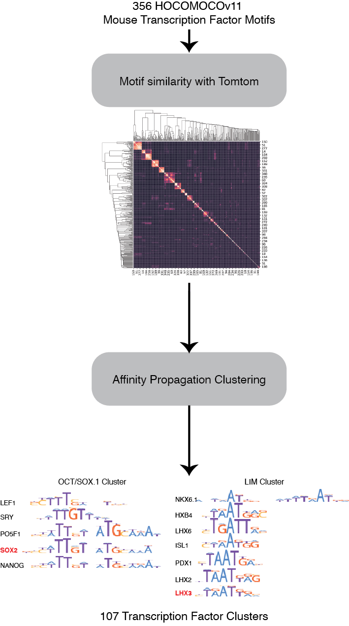 Github Gifford Lab Reprogrammingrecovery Code For Creating Consensus - Desktop Abstract Photos for Desktop