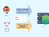 Top 10 Web Security Backdoors And How To Fix Them Website Design