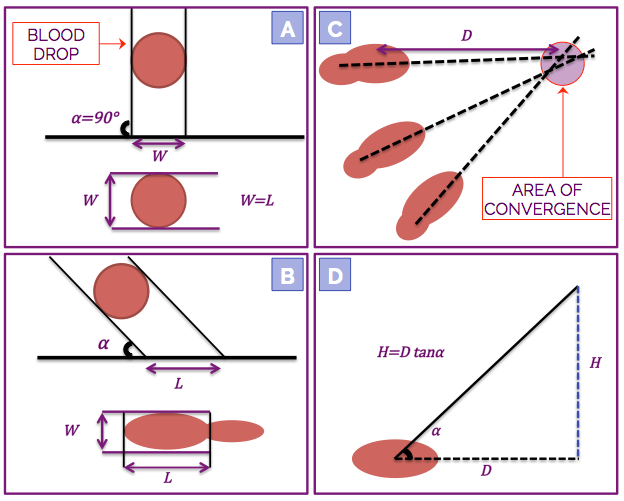 Catching criminals with maths - Chalkdust