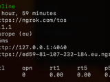 Remote Debugging Readthedocs Builds With Tmate Chanind Github Io