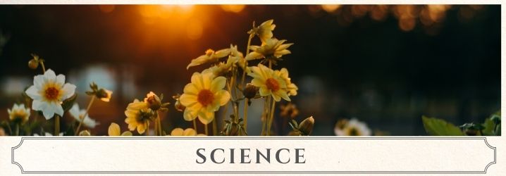 Science – Charlotte Mason Philippines