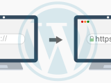How To Change Your Wordpress Website From Http To Https