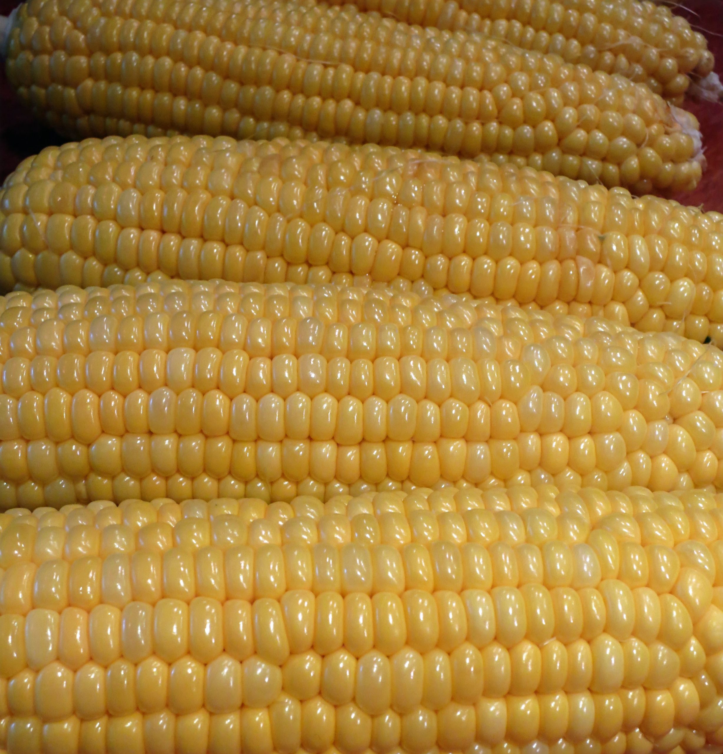 Summer Corn Dip | the chef mimi blog