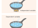 Independent And Dependent Variables Examples Drawings Independent