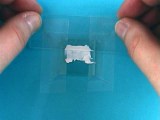 Titanium Dioxide Raspberry Solar Cell