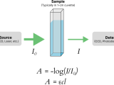 Experiment 2 Standardization Nitrate