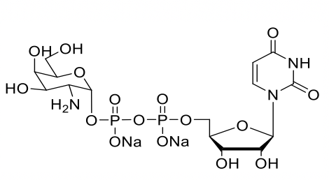CBSNT00023 cas#17479-06-0 UDP-D-galactosamine disodium salt – ChemBind