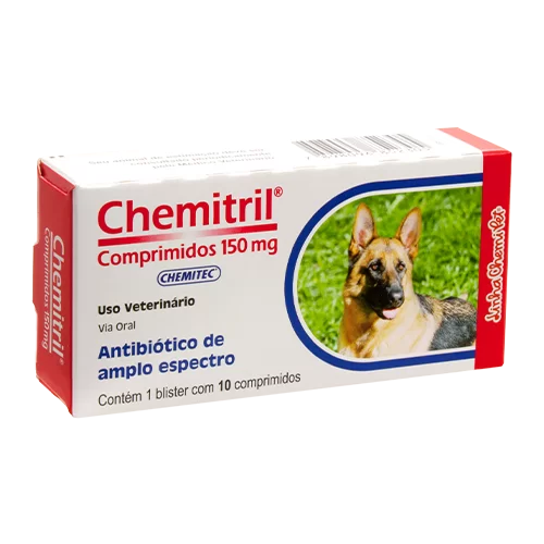 Guia completo sobre Pug - Chemitec®