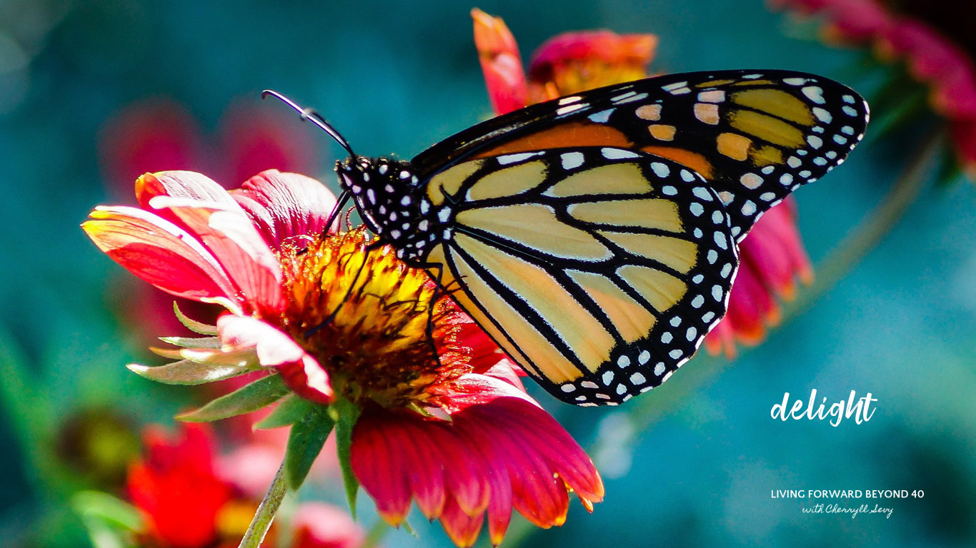 #WallpaperWednesday | Delight - Living Forward