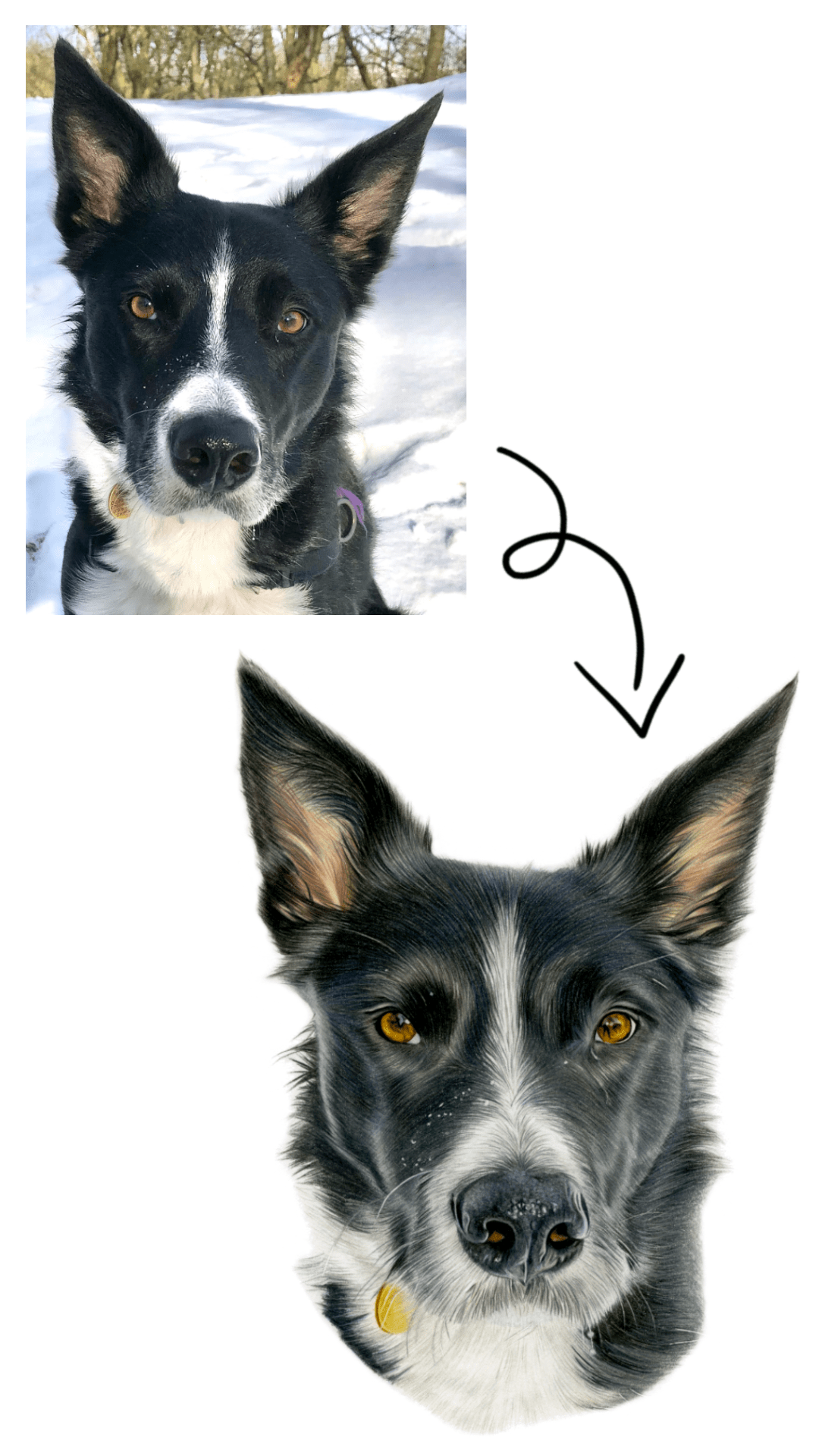 reference photo vs drawing – www.cherrywatson.com