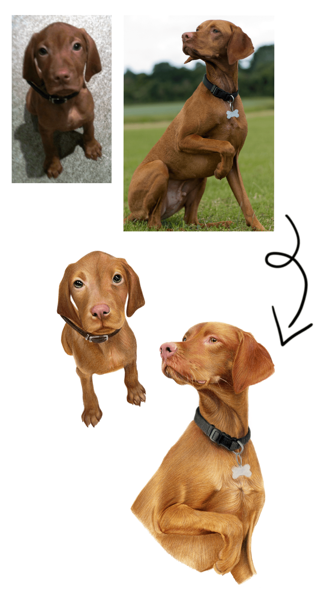 reference photo vs drawing – www.cherrywatson.com