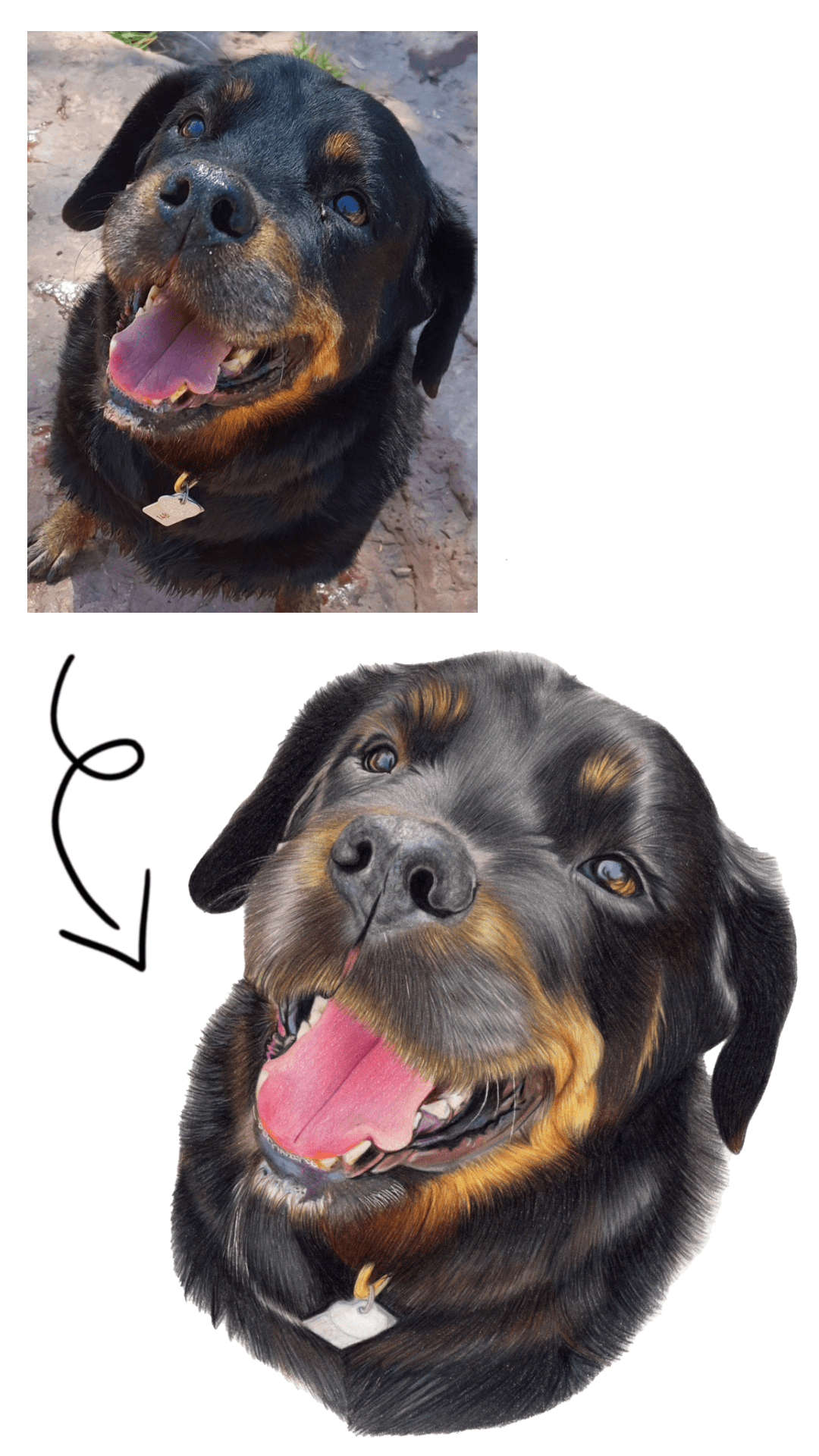 reference photo vs drawing – www.cherrywatson.com