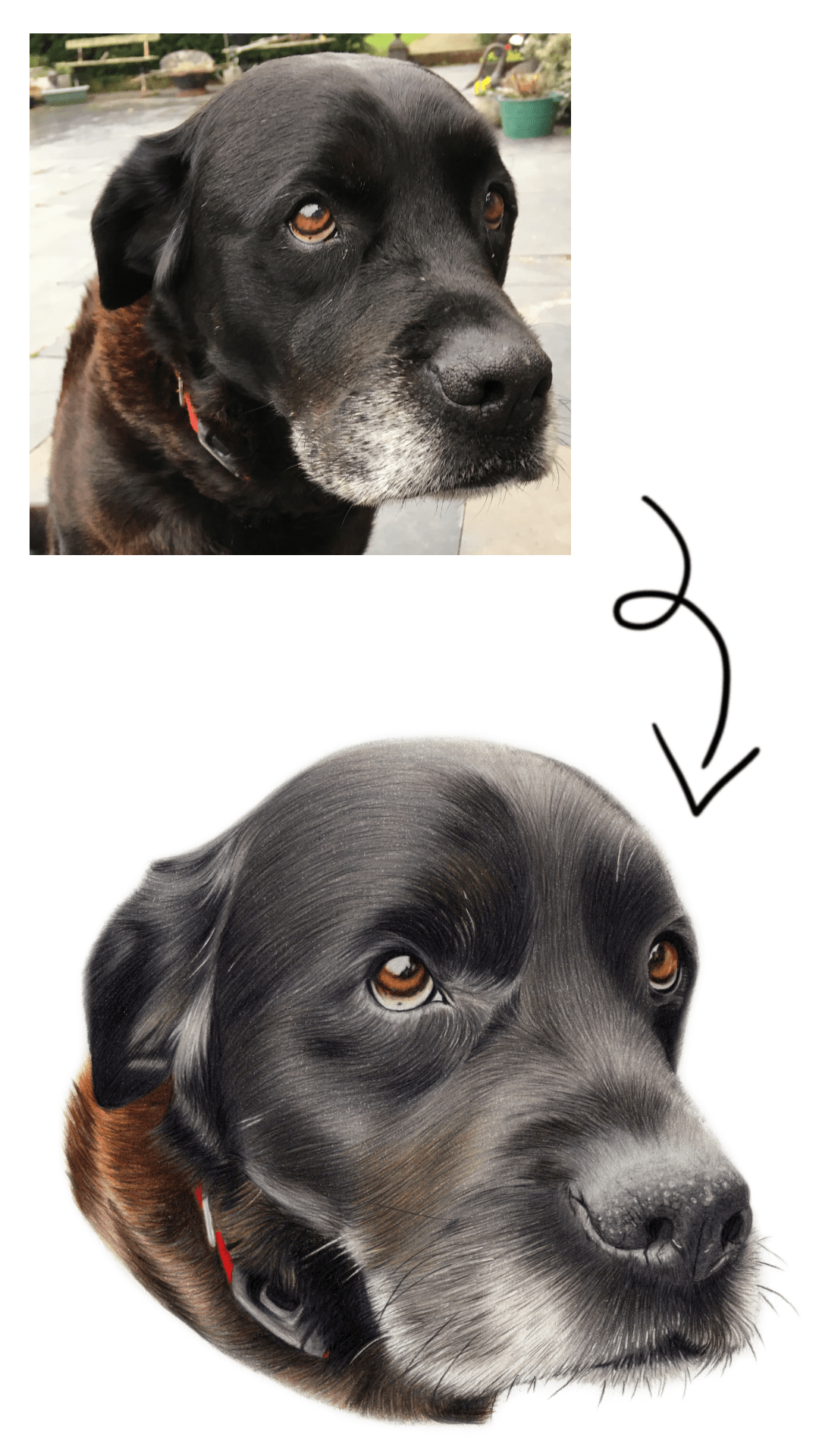 reference photo vs drawing – www.cherrywatson.com