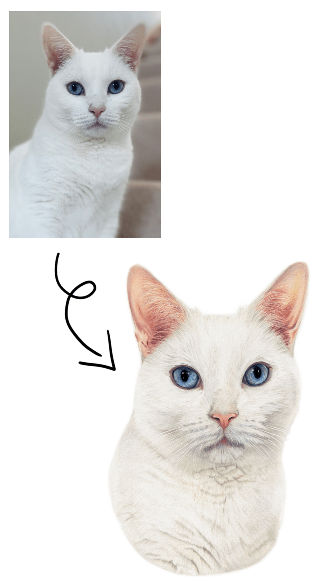 reference photo vs drawing – www.cherrywatson.com