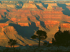 How old is the Grand Canyon? - Chicago Reader